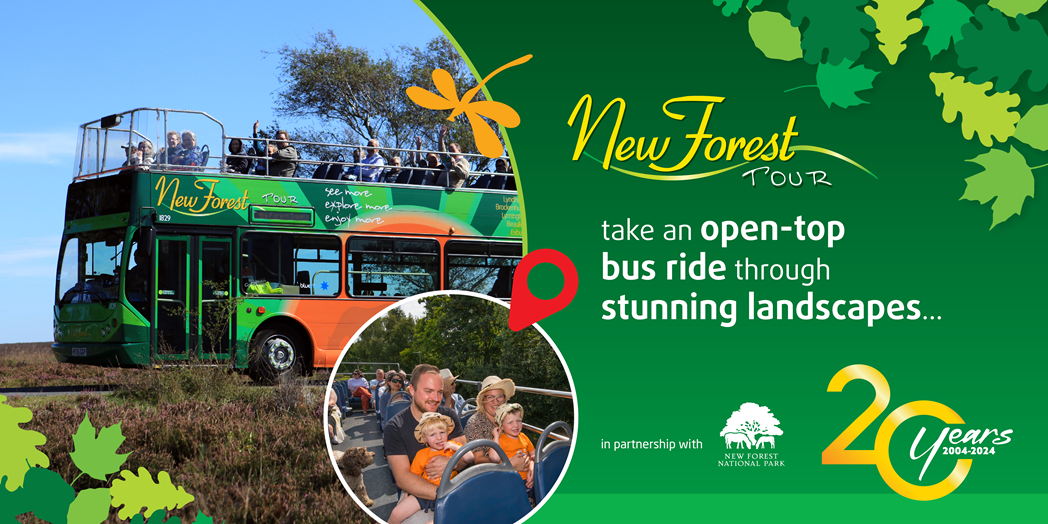The New Forest Tour - morebus