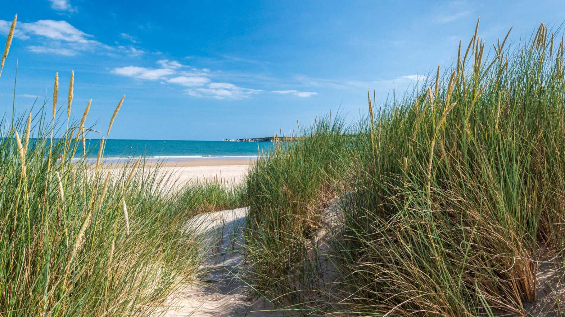 Studland's Wicked Wildlife Trail - morebus