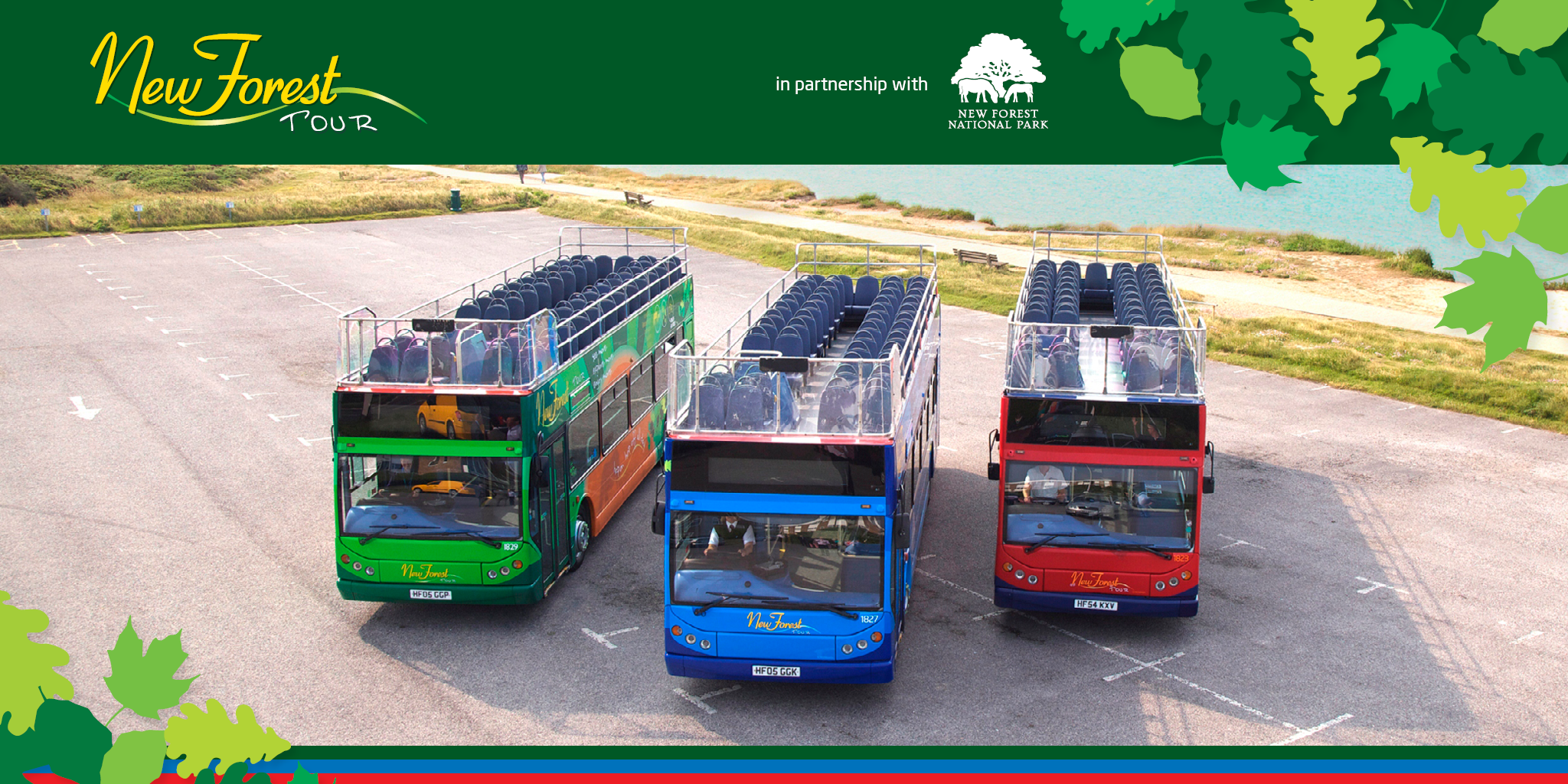 Travel by bus to connect to the New Forest Tour - morebus
